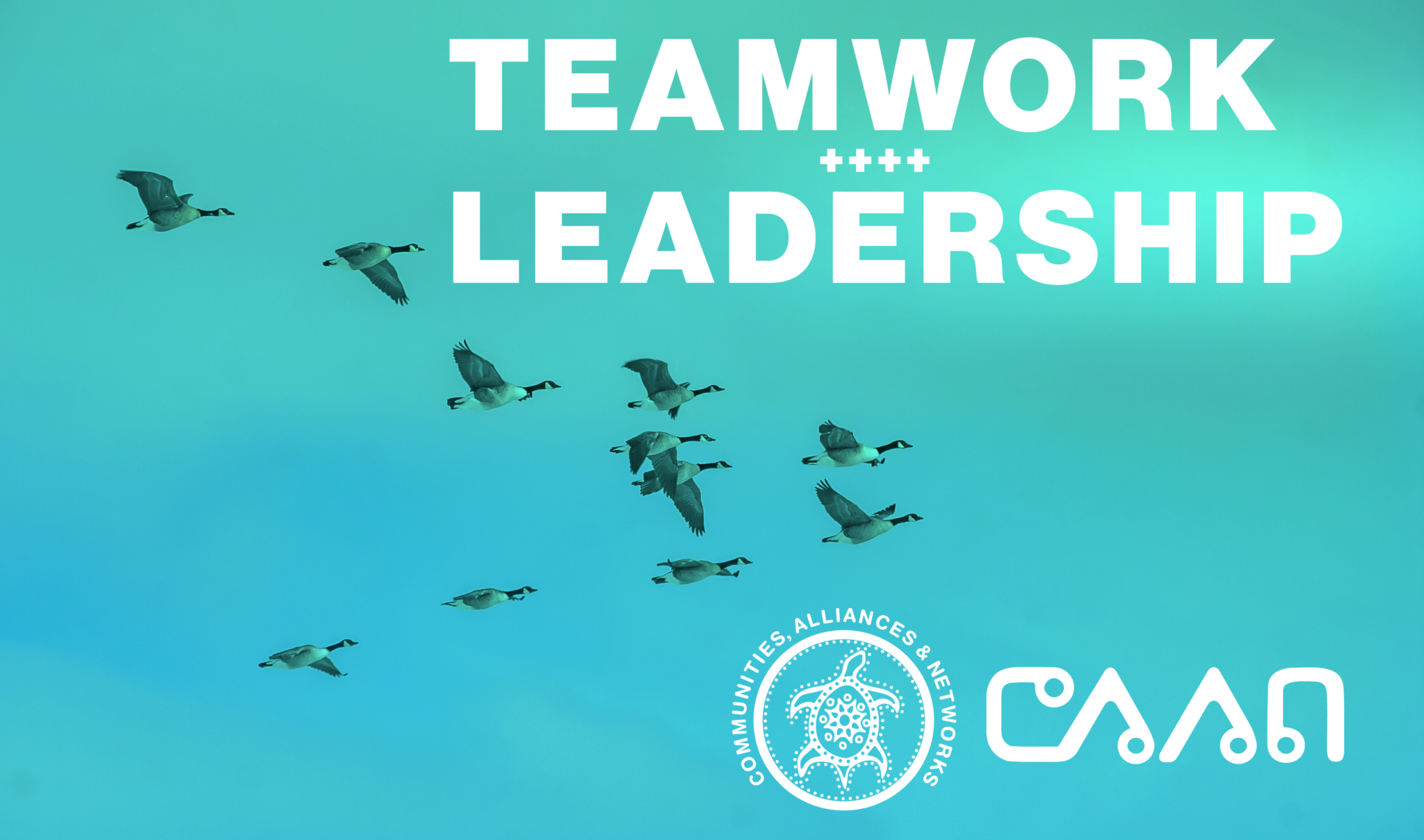 Staff Directory - CAAN: Empowering Indigenous Communities | HIV/AIDS ...